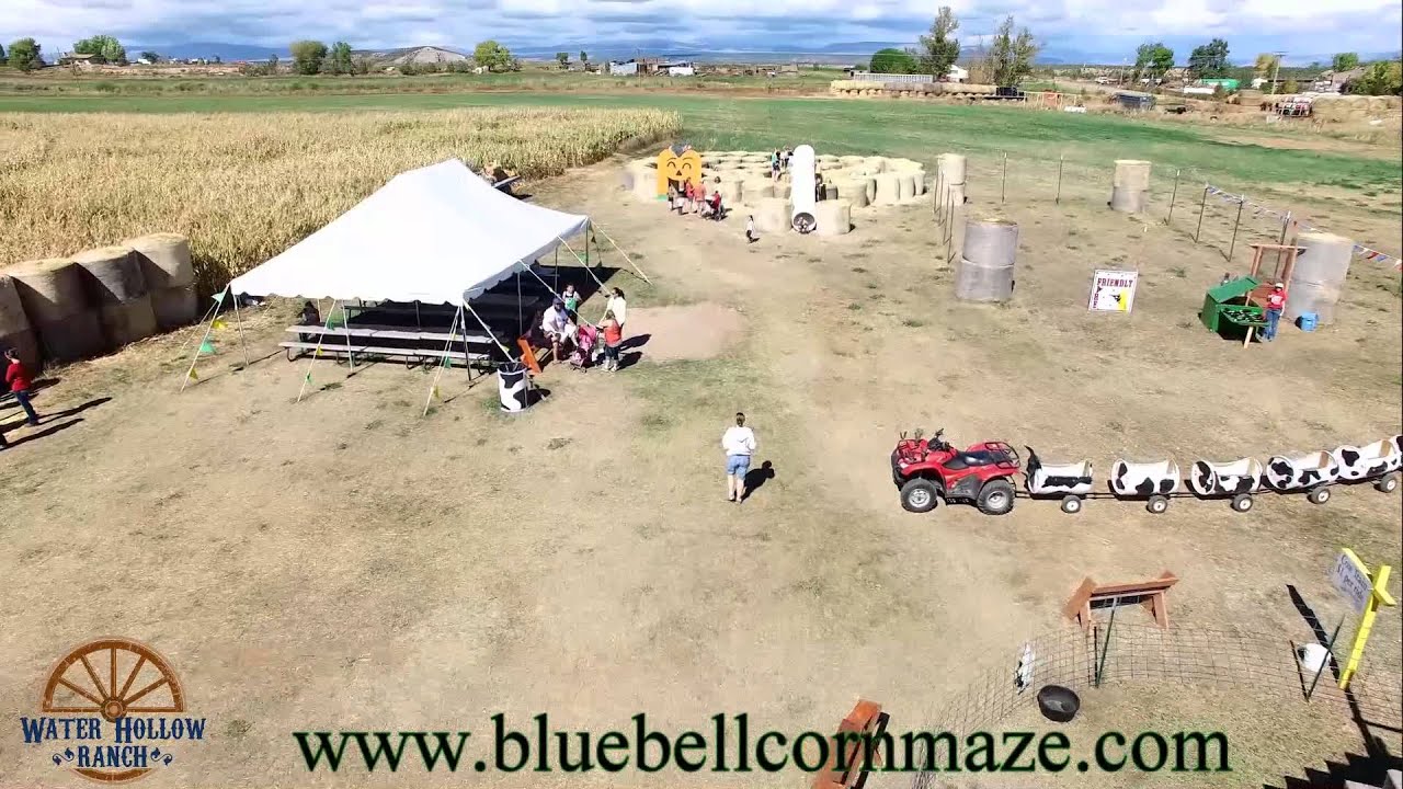 Corn Maze at Water Hollow Ranch - YouTube