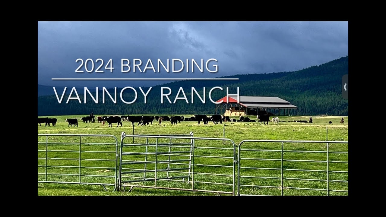 2024 Vannoy Ranch Branding With The Best - YouTube