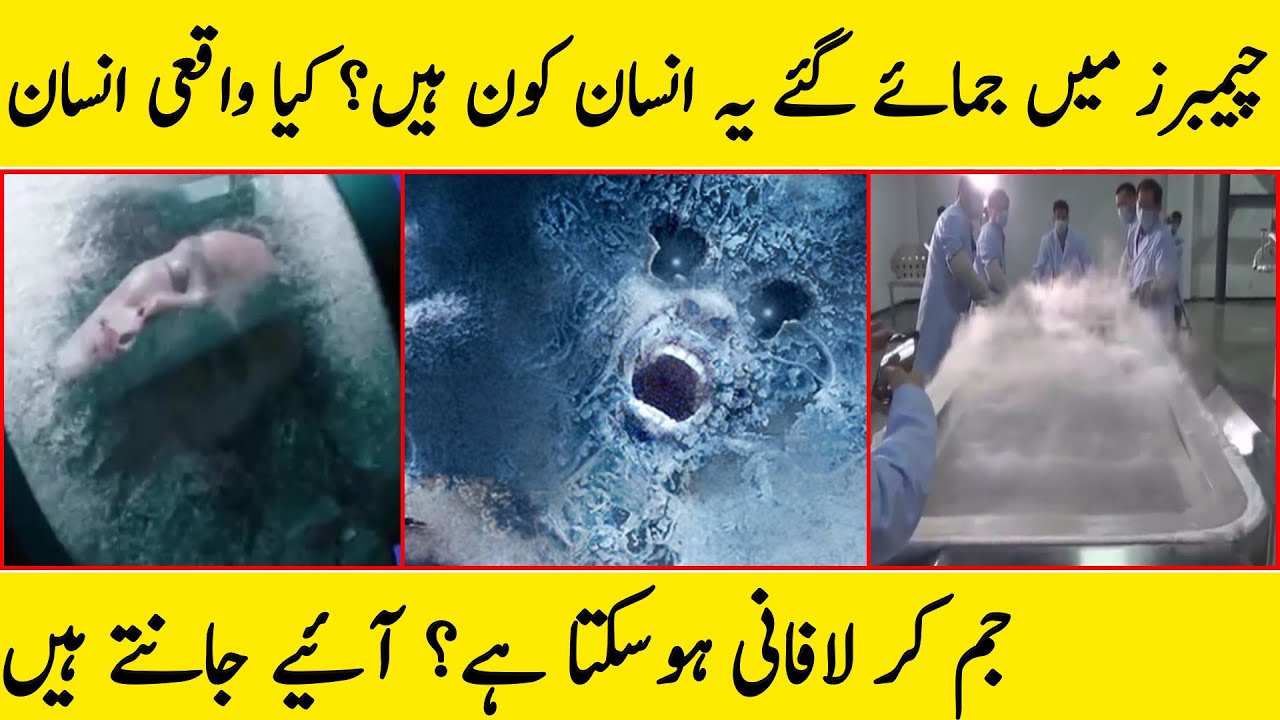 The frozen human beings who try to live forever | astonishing real ...