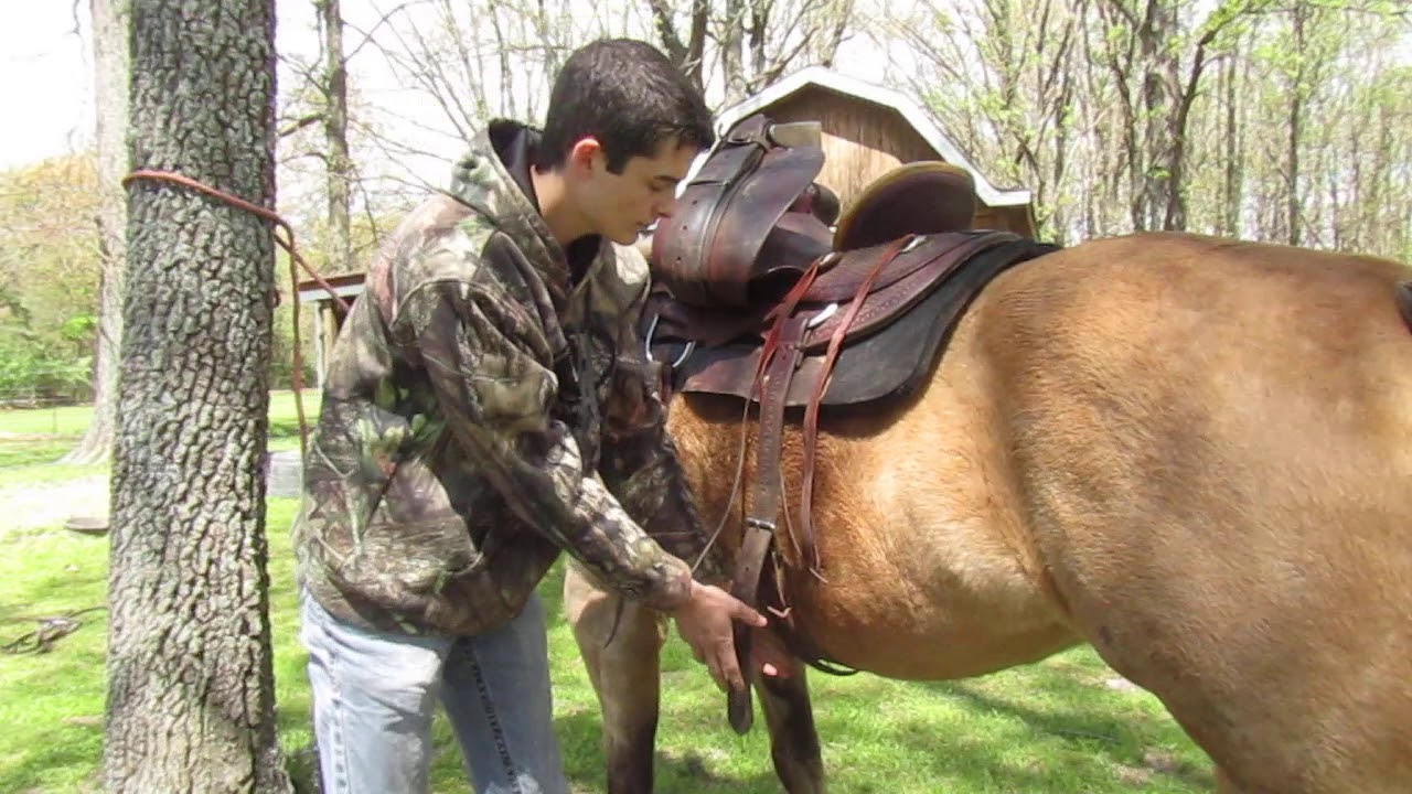Proper Western Saddling Technique- Josh Underwood - YouTube