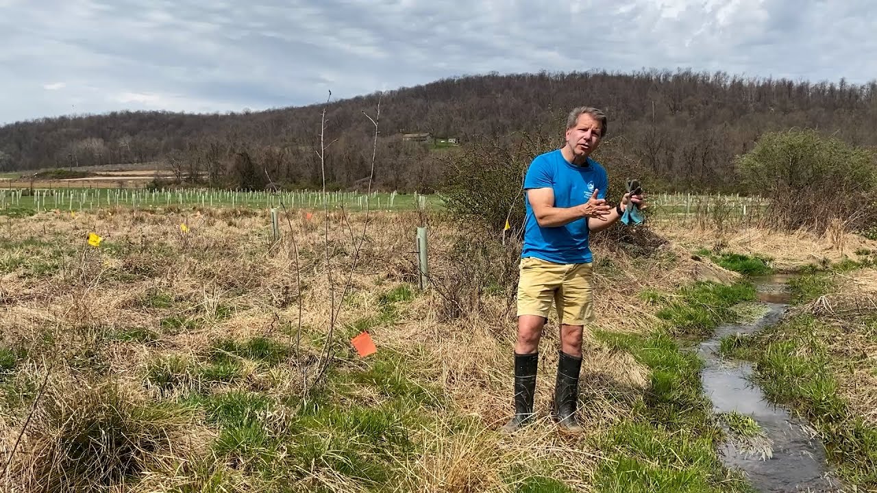 What Are Headwaters? Protecting The Streams Where Rivers Begin - YouTube