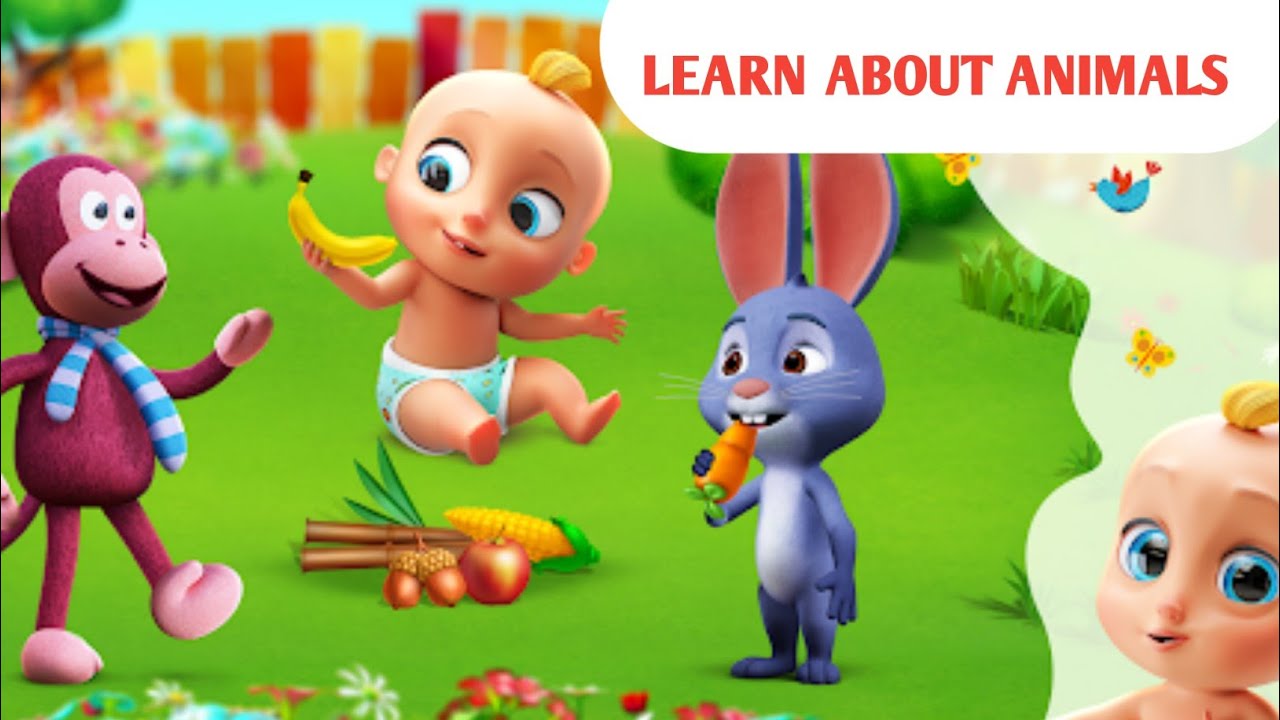 Learn About Animals Learn About Animals For Toddlers YouTube learn-about-animals-learn-about-animals-for-toddlers-youtube