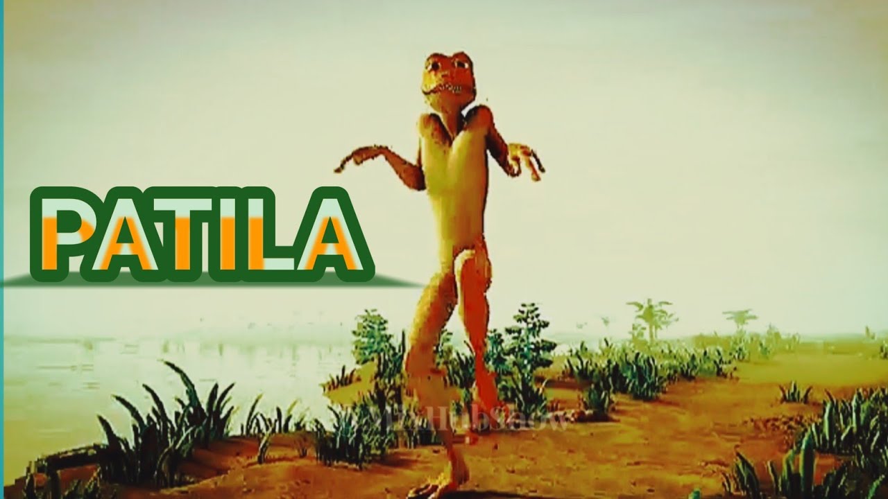 PATILA - BEYOND THE SHORE | PATILA | FROG DANCE - YouTube