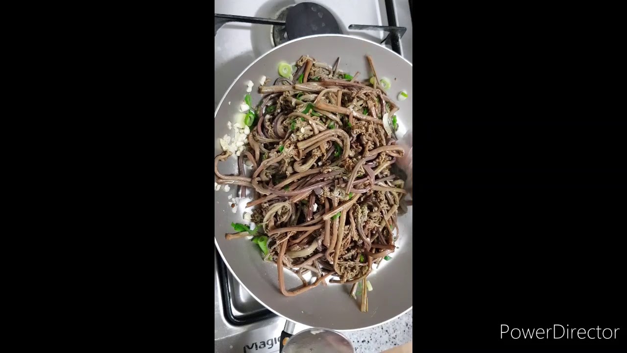 How to Cook Dried Bracken(Gosali) by Edelkim channel - YouTube