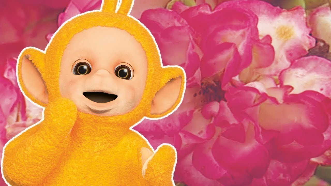 Teletubbies | PINK | Official Classic Full Episode Compilation - YouTube
