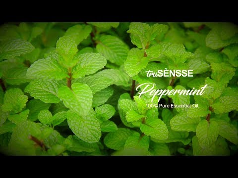 truSÈNSSE 100% Pure Essential Oil - Peppermint