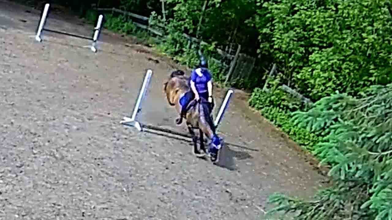 Grace and Sven had a little fall. - YouTube