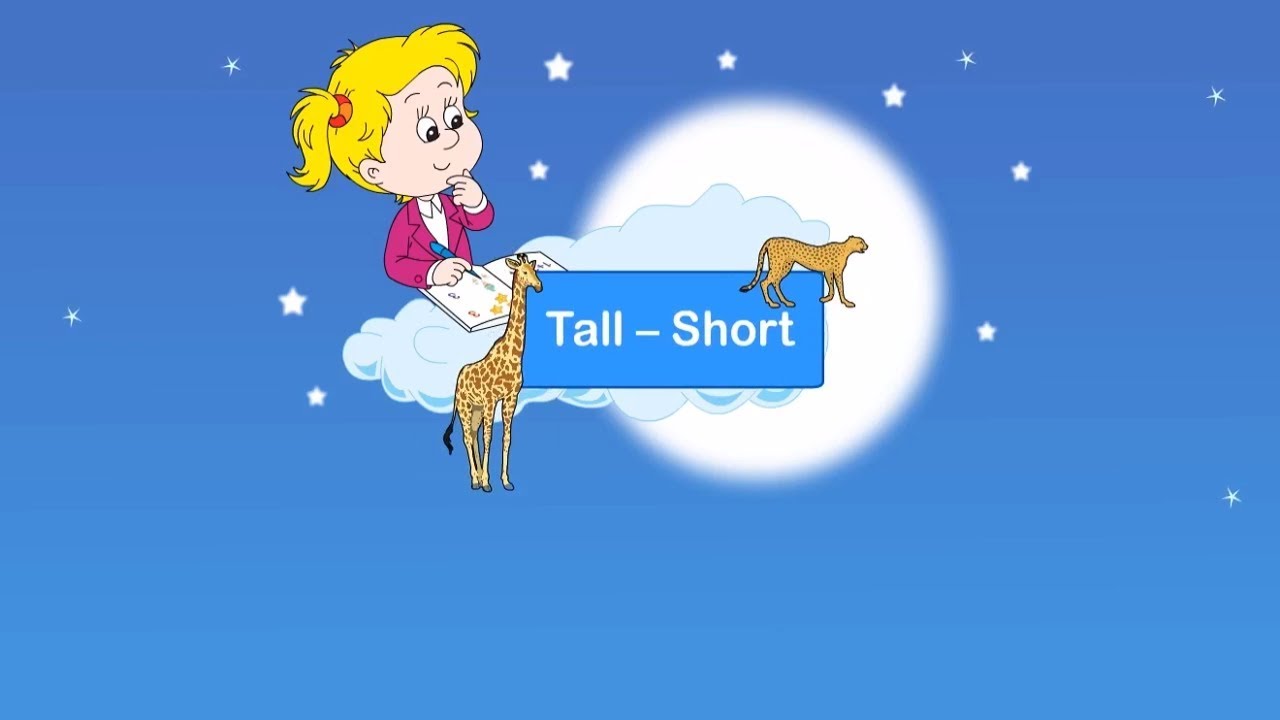Tall & Short | Mathematics Book A | Periwinkle - YouTube
