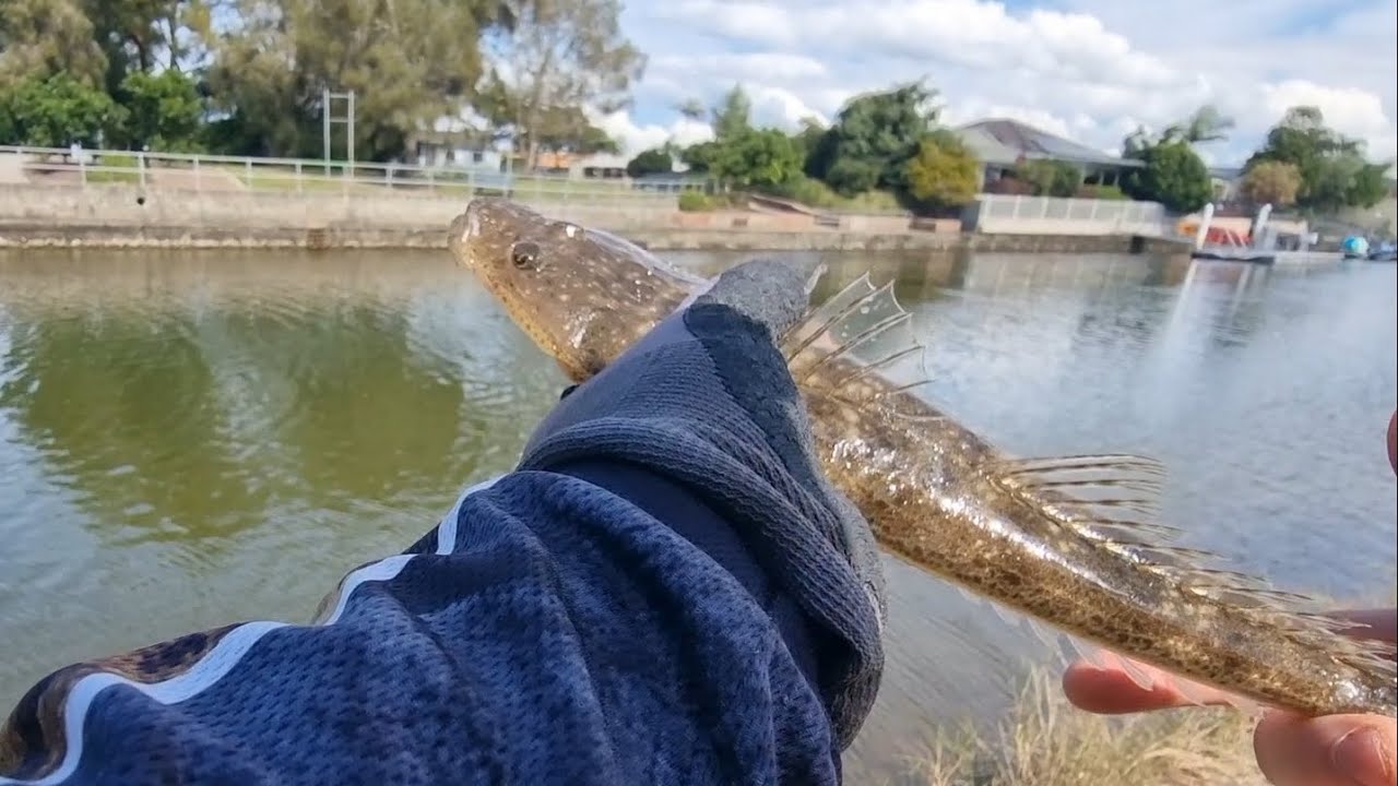 Canal fishing land based at bribie island, Queensland, Australia # ...