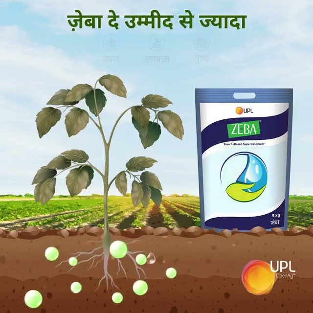 #upl#zeba#npp - YouTube