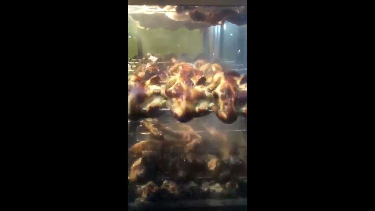 Gudaca Litson Manok Cruz Guiguinto Bulacan Branch - YouTube