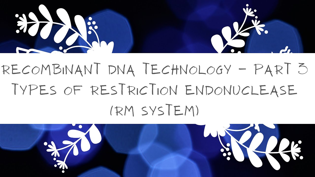 Types of Restriction Modification System - YouTube