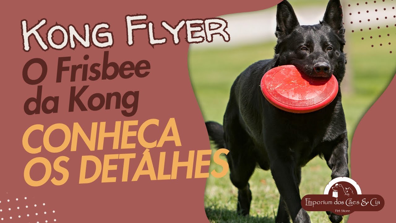 Kong Flyer - O frisbee da Kong - YouTube
