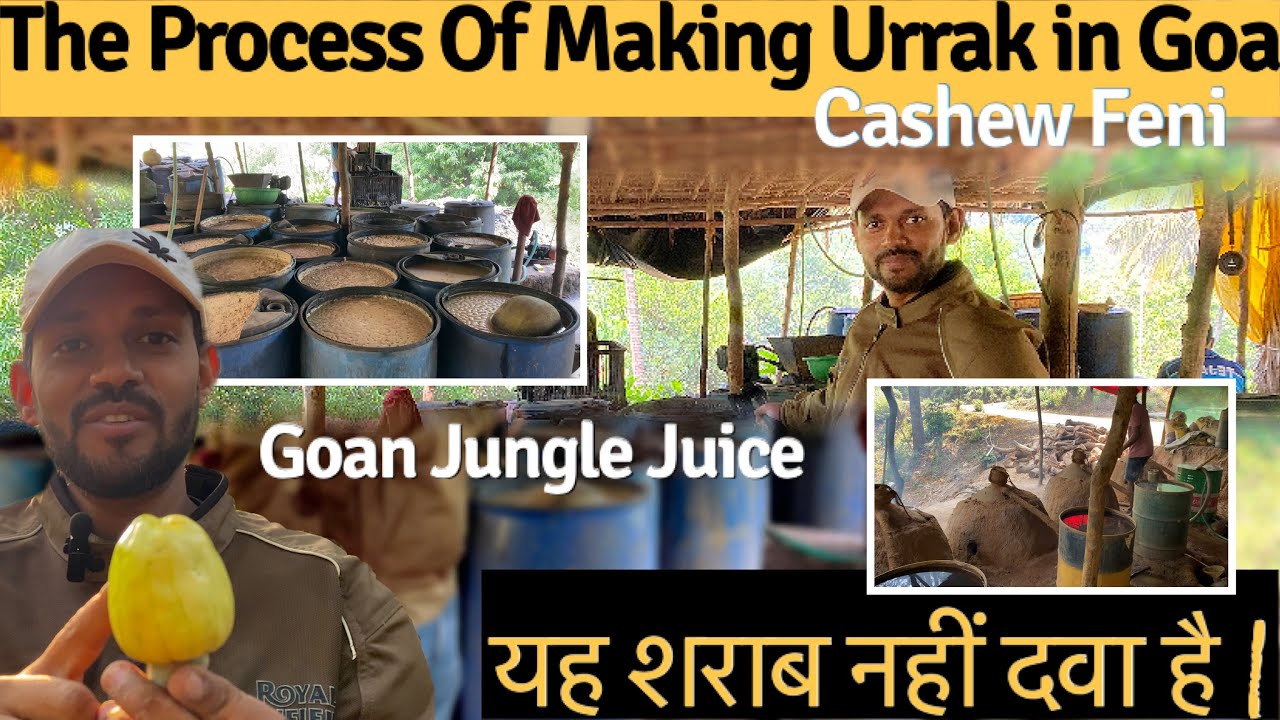 How Urak is made? |Process of making Urak|The Goan Jungle Juice ...