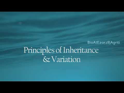Principles of Inheritance & Variations - One Shot - YouTube