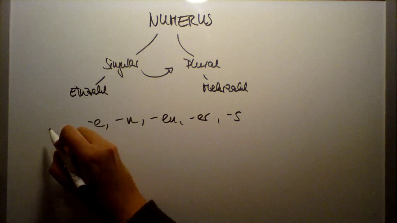 Numerus - YouTube