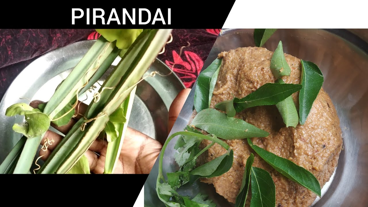 Pirandai thuvaiyal|veg recipie - YouTube