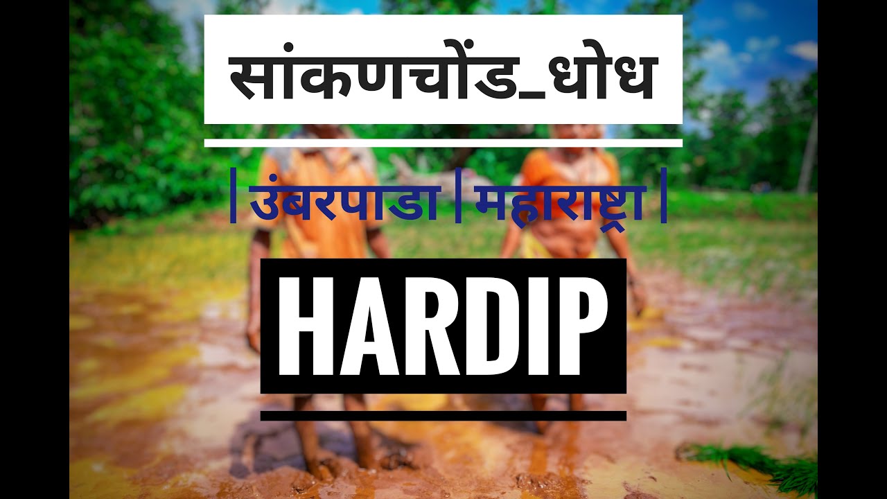 सांकणचोंड धोध महाराष्ट्रा | उंबरपाडा | महाराष्ट्रा | bY HARDIP PATEL ...