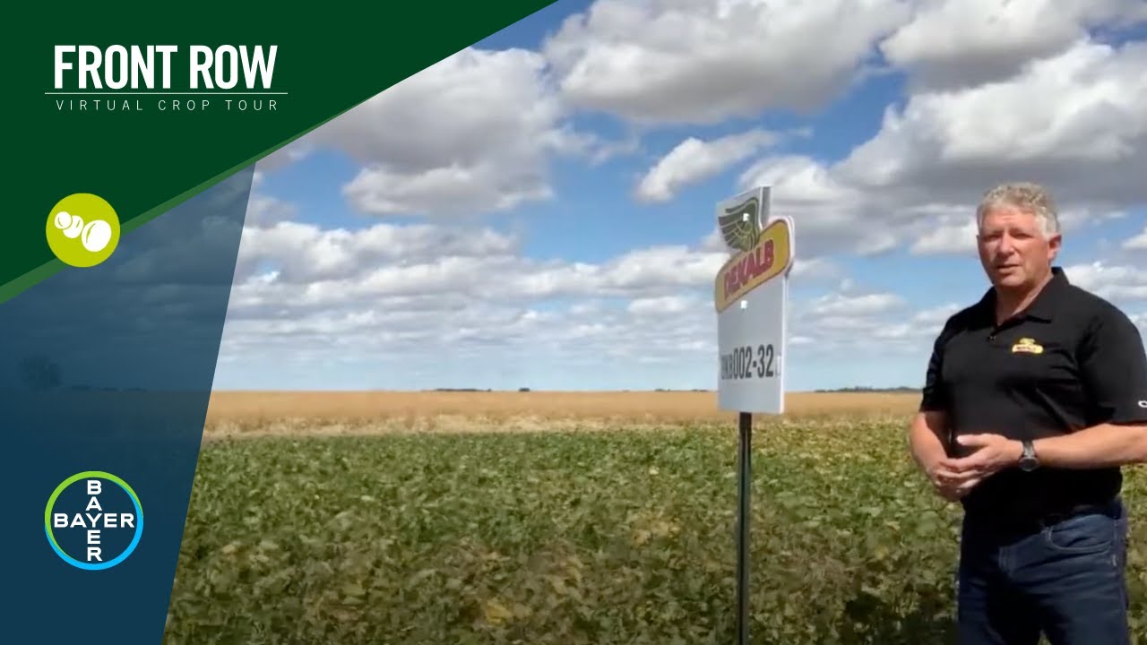 The Front Row: DEKALB® DKB002-32 - A Strong-Yielding, Mid-Maturity ...