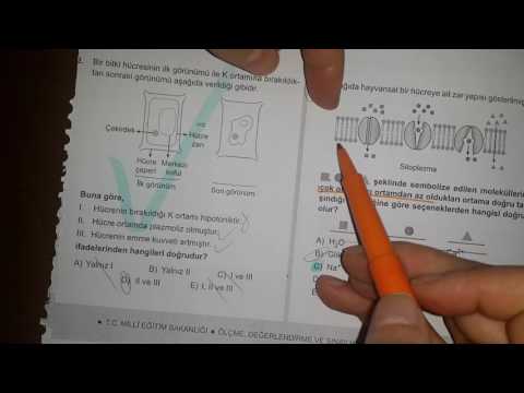 YGS BİYOLOJİ _  YGS Soru Çözümü
