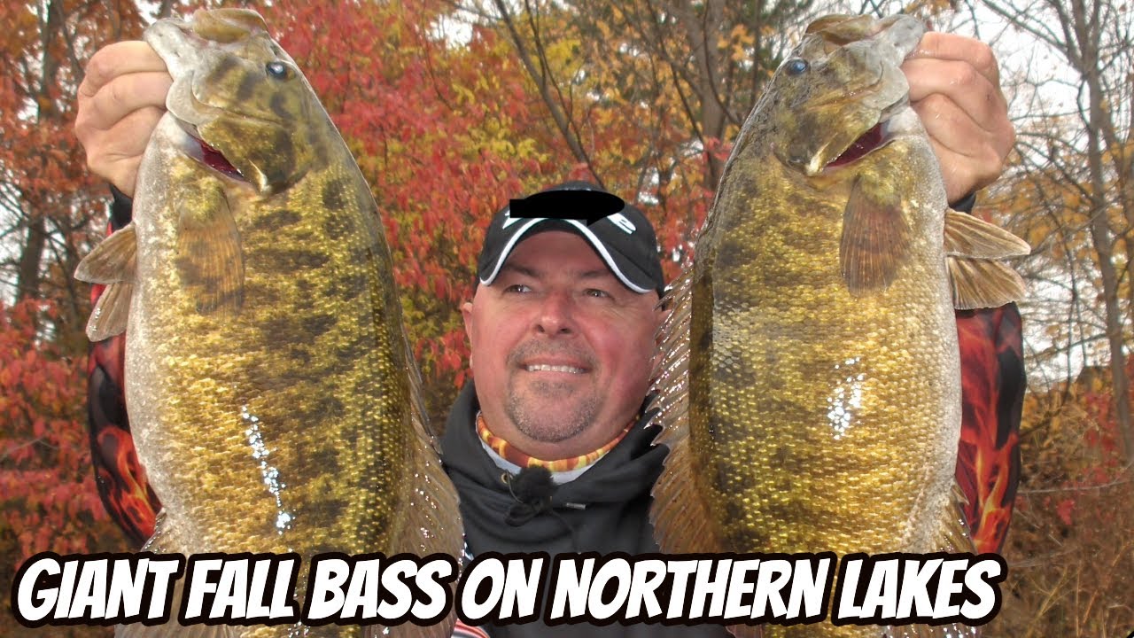 GIANT FALL BASS ON SMALL NORTHERN LAKES- UnderSpin Smashes Bass - YouTube