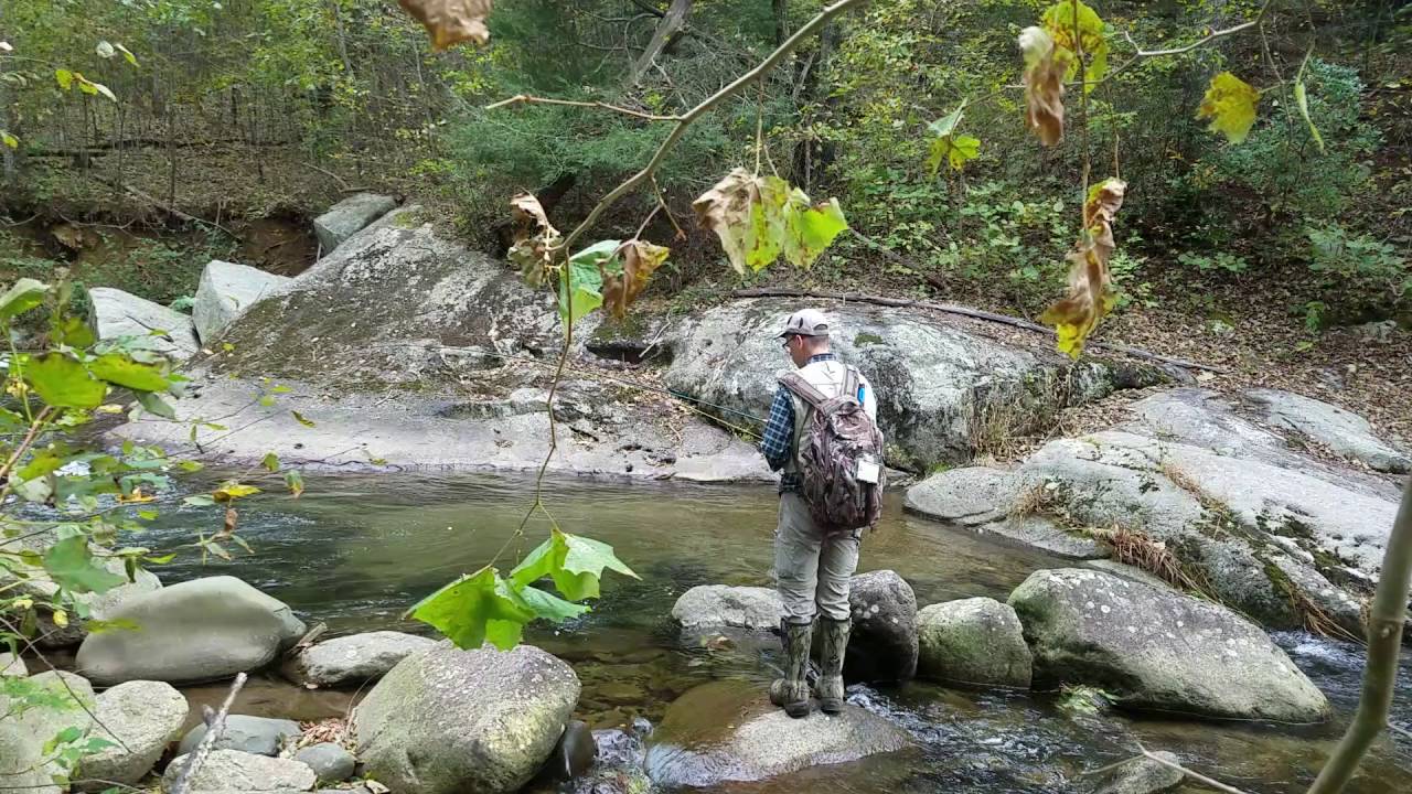 Neil Fly fishing - YouTube