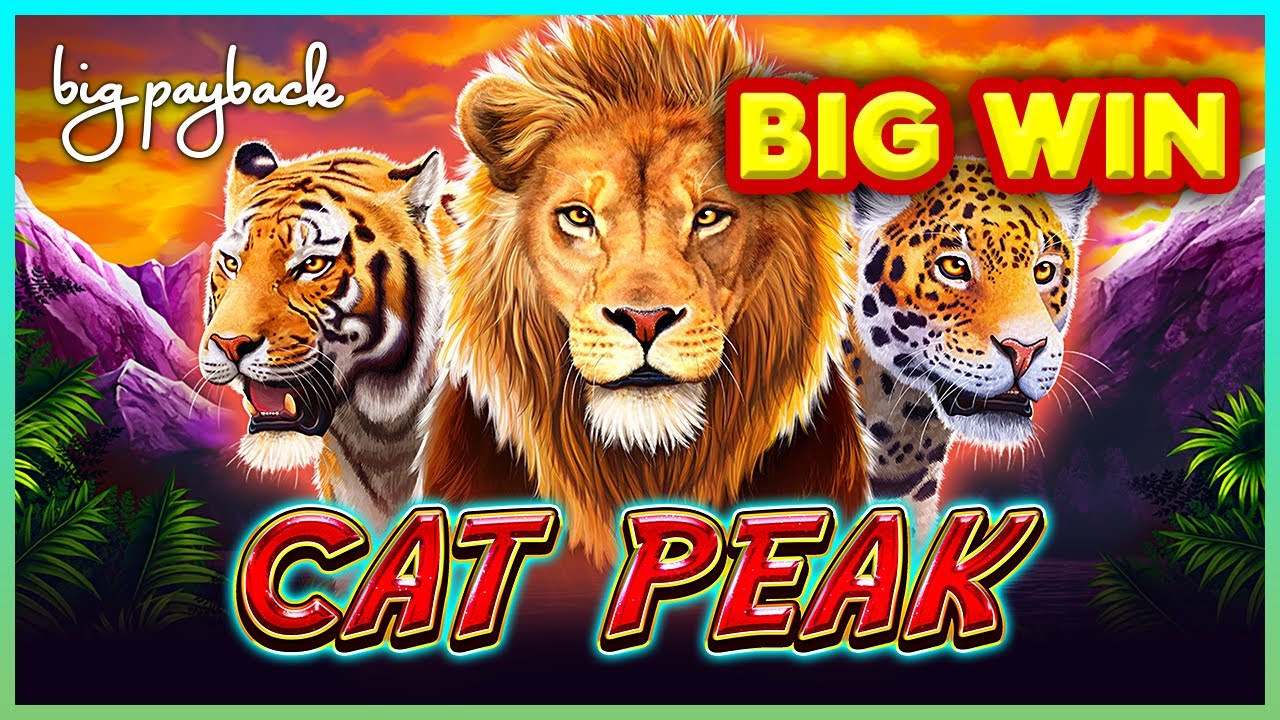 Cat Peak Slot - WELL THAT WAS COOL! - YouTube