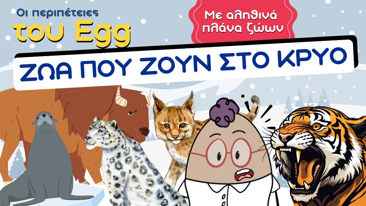 Μαθαίνω τα Ζώα που ζουν στο κρύο ️ | Εκπαιδευτικό βίντεο | Kanaliegg 🦭🦬 ...