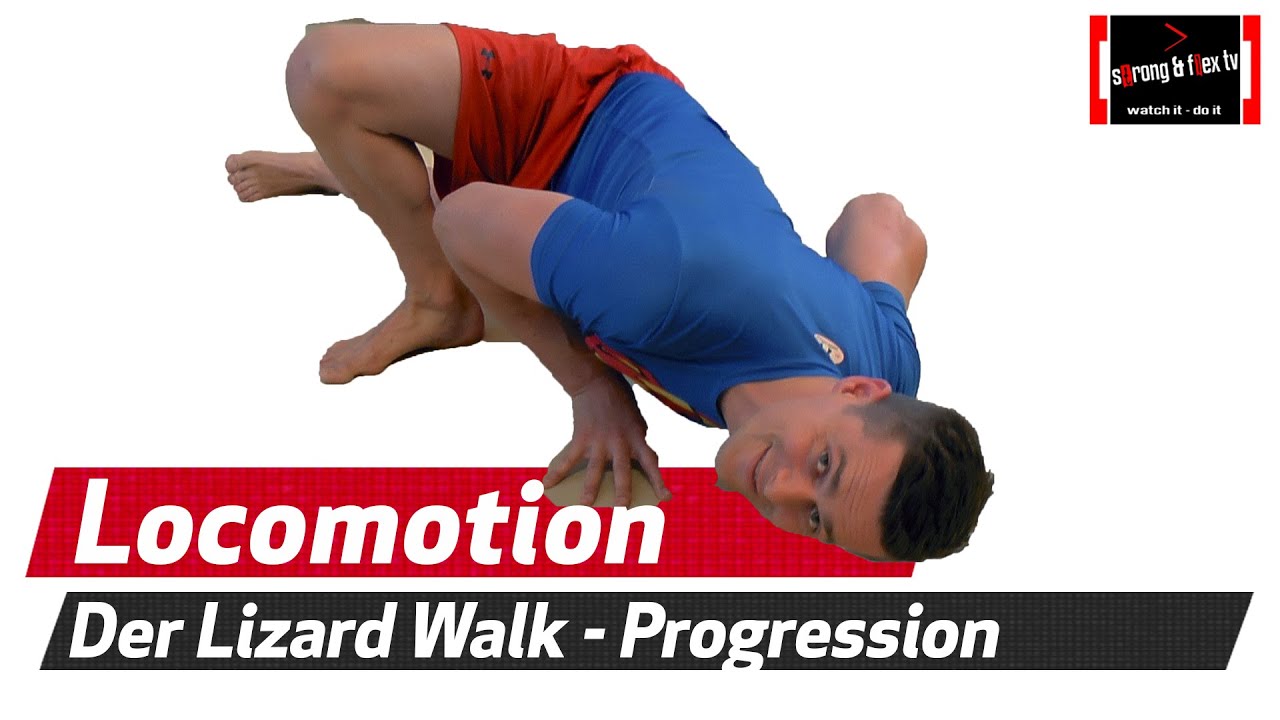 Lizard Crawl Progression - Animal moves - Schluss mit dem 0815 - Müll - YouTube