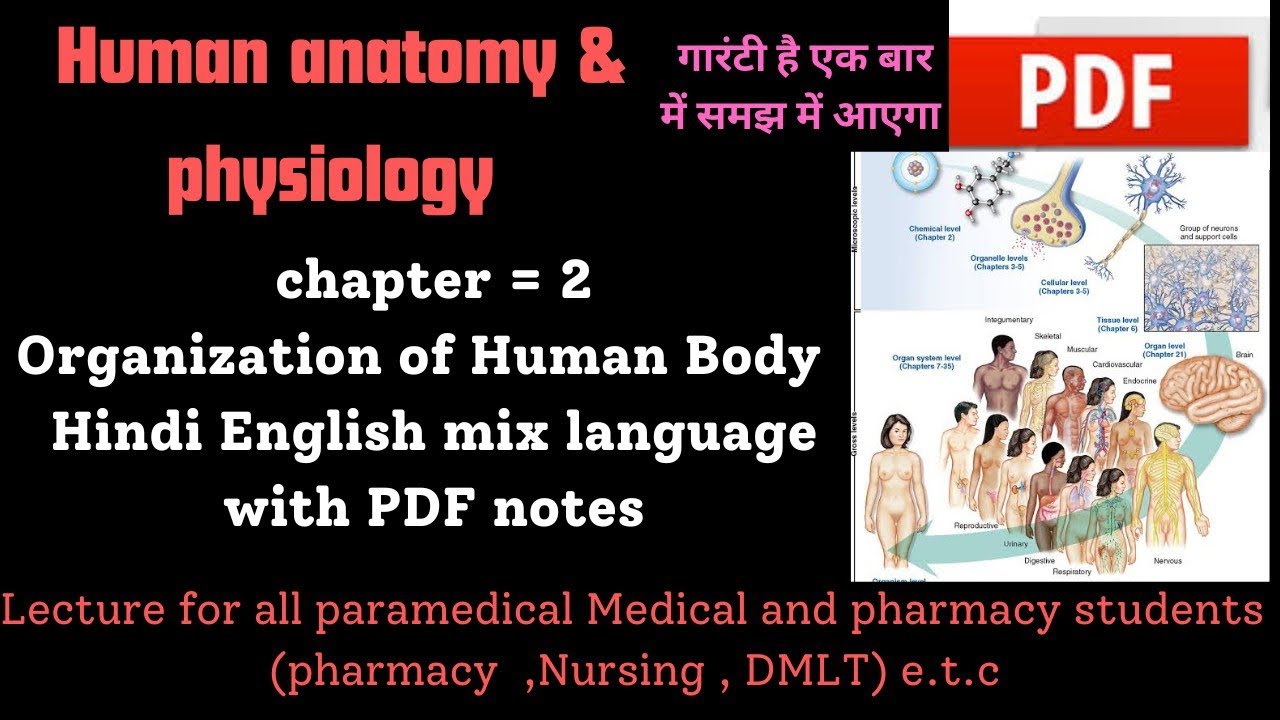 Human Anatomy ka Chapter 2 Organization Of Human Body - YouTube