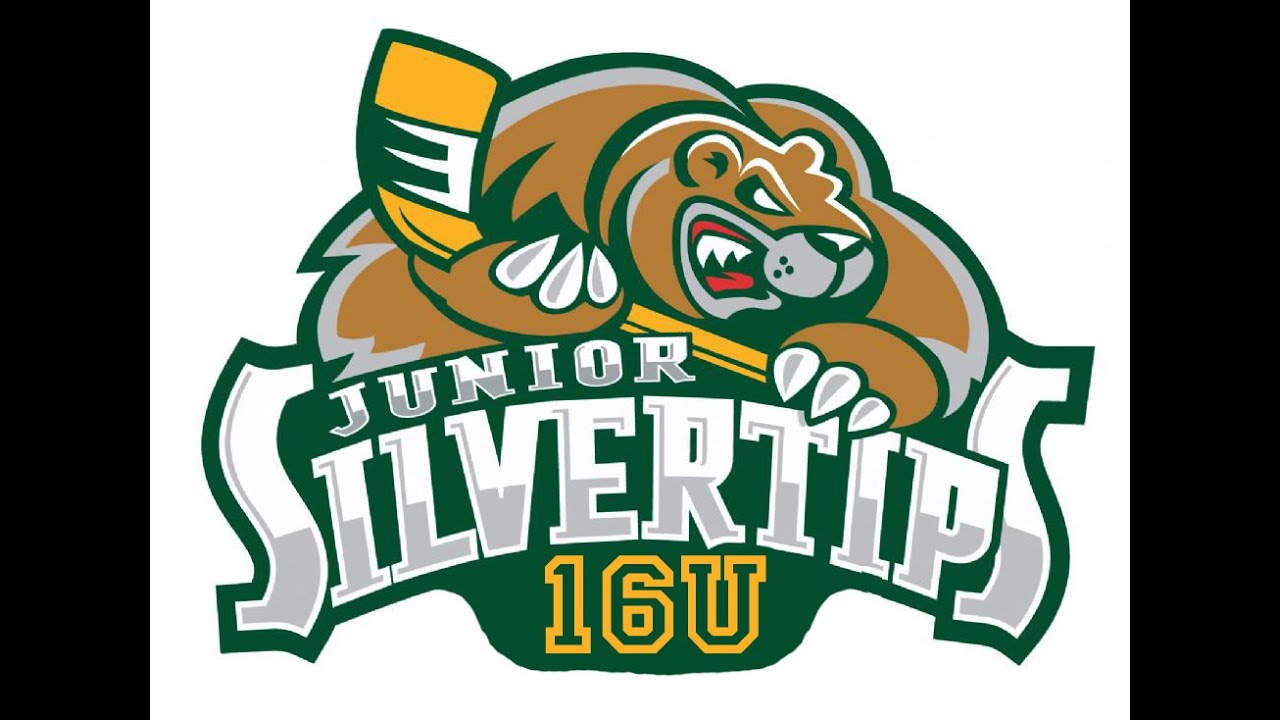 Biose Idaho Jr. Steelheads (01/24/22015) - YouTube