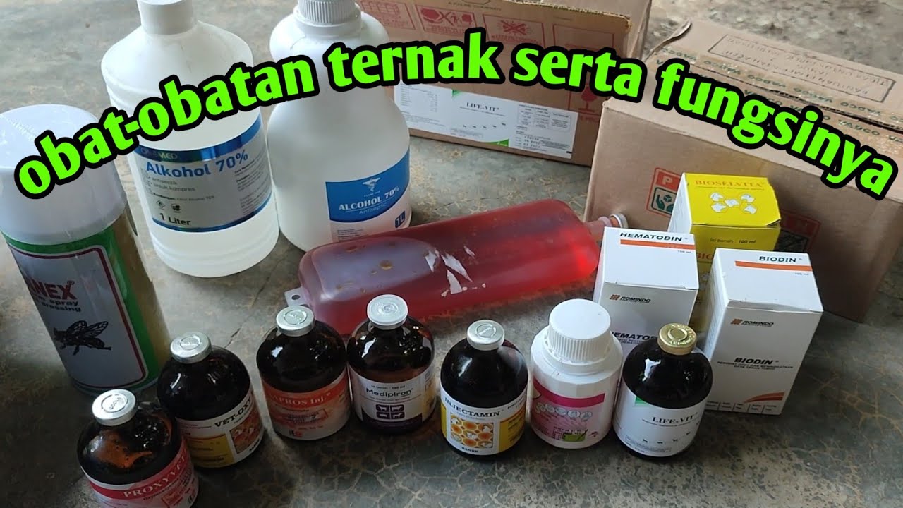 obat-obatan ternak serta fungsinya👍👍 - YouTube