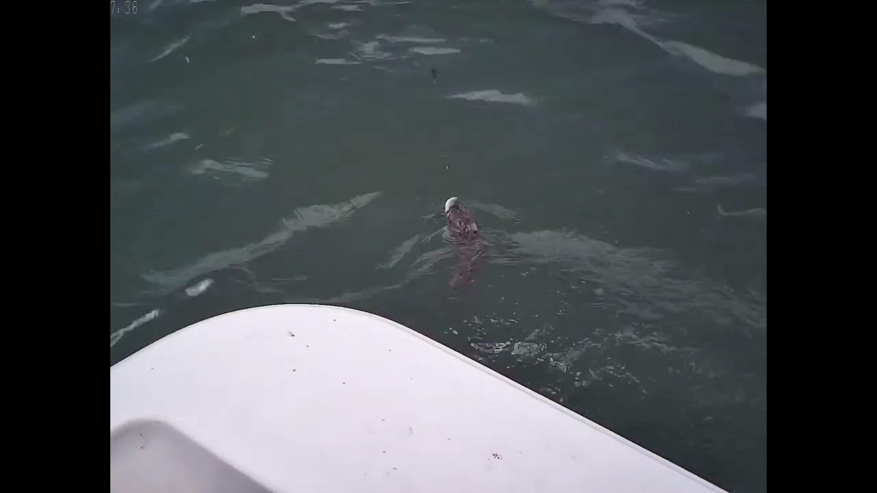 Unexplored Territory… - YouTube