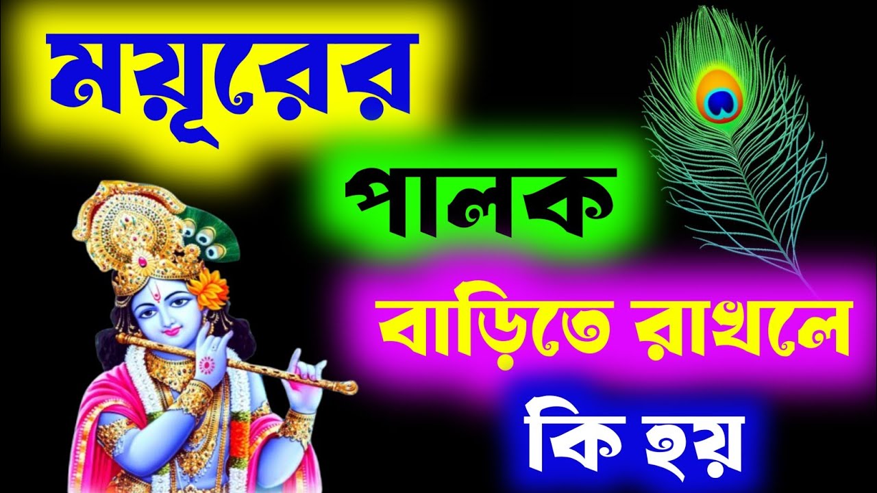 ময়ূরের পালক বাড়িতে রাখলে কি হয় ! Mayur palak barite rakhle ki hay ...