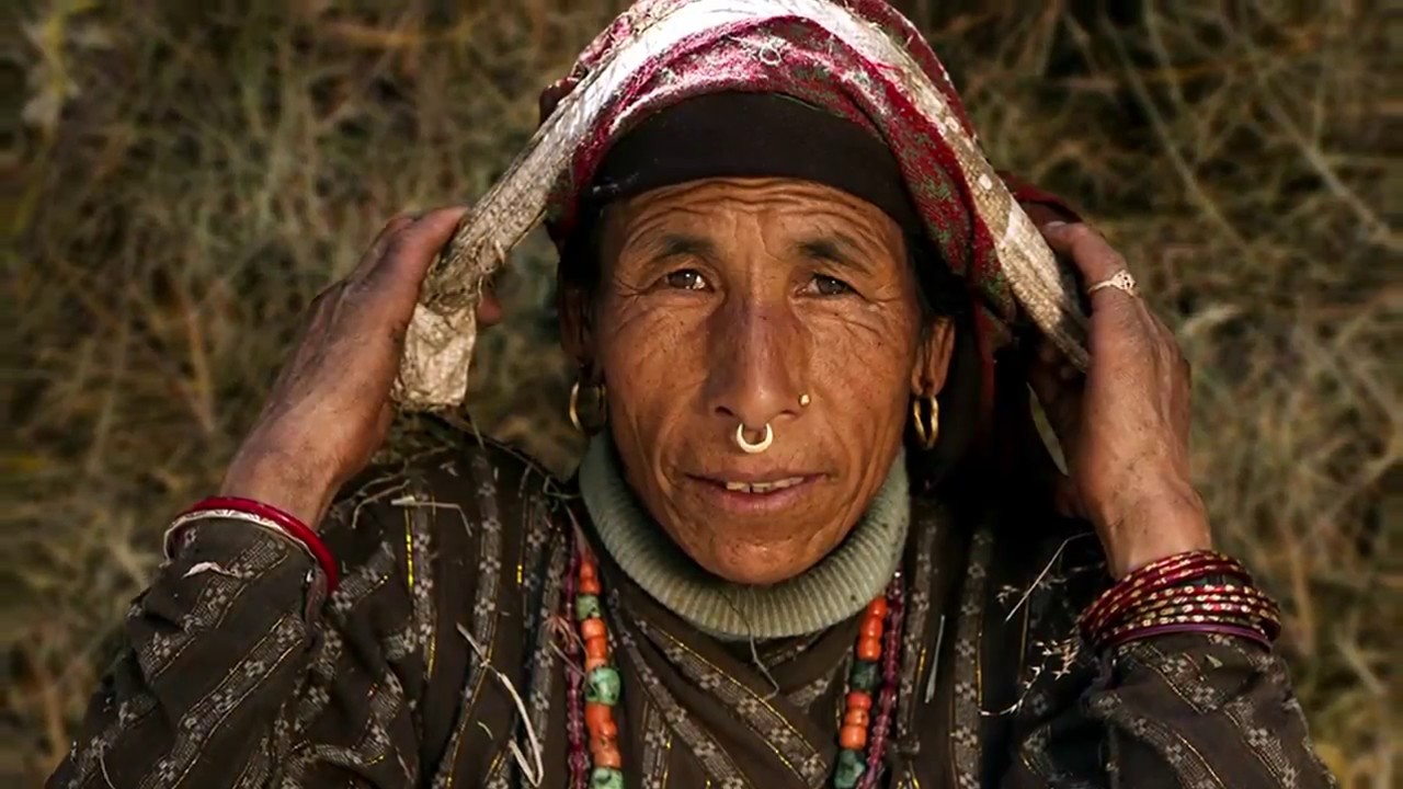 Pink Floyd - Echoes | Meaning Explained Deeply (Human Evolution) - YouTube