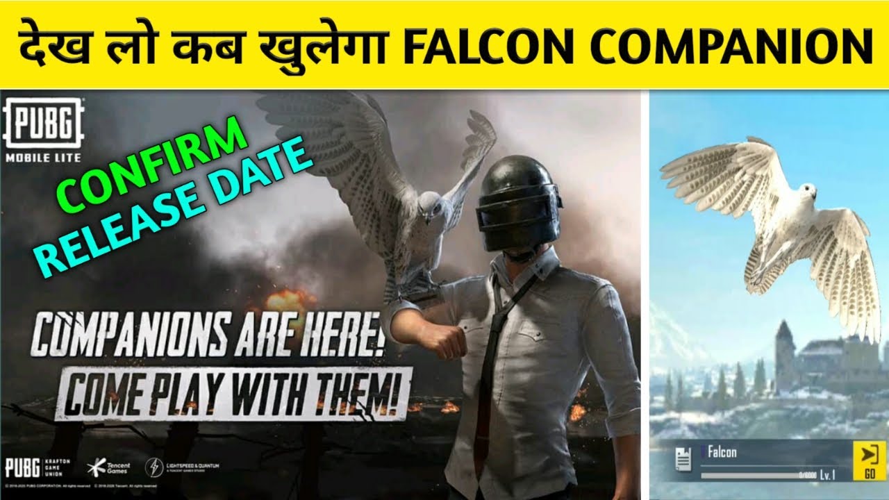 FALCON COMPANION RELEASE DATE IS OUT NOW HOW TO UNLOCK FALCON COMPANION ...