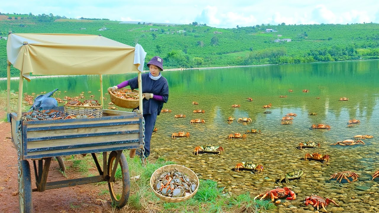 Rural Life: Harvest Stream Crabs To Sell At The Market, Cook, Garden ...