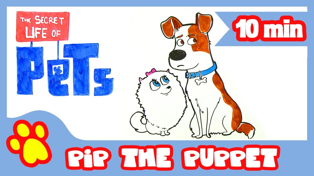 THE SECRET LIFE OF PETS: Everything about Max, Gidget, Duke & more ...