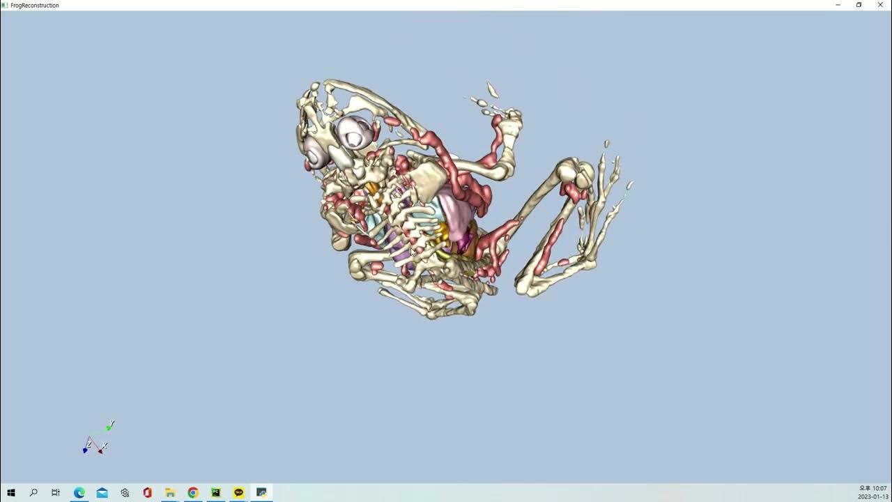 VTK Python Example - FrogReconstruction, Fig12-9b - YouTube