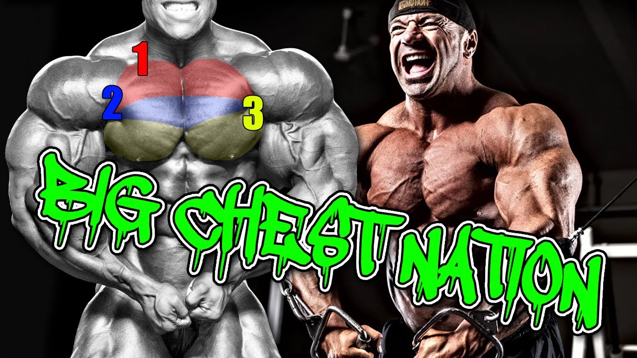 Complete Chest Workout: Sets and Reps Included - YouTube