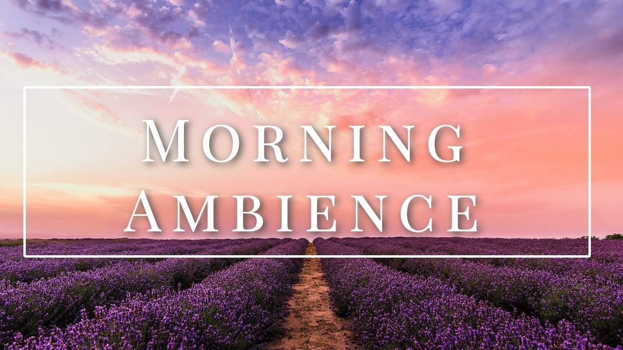 Ambient Music | A Peaceful Morning Ambience for Self Healing - YouTube