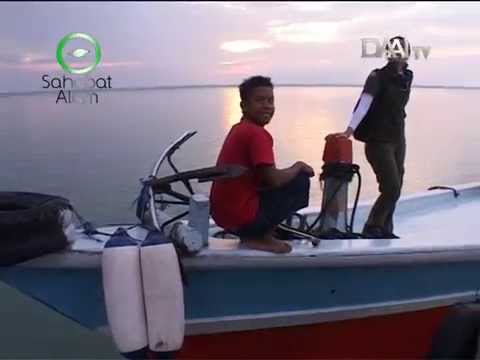 Widi Dwinanda - Memori Sahabat Alam DAAI TV (episode 1. Ujung Kulon ...