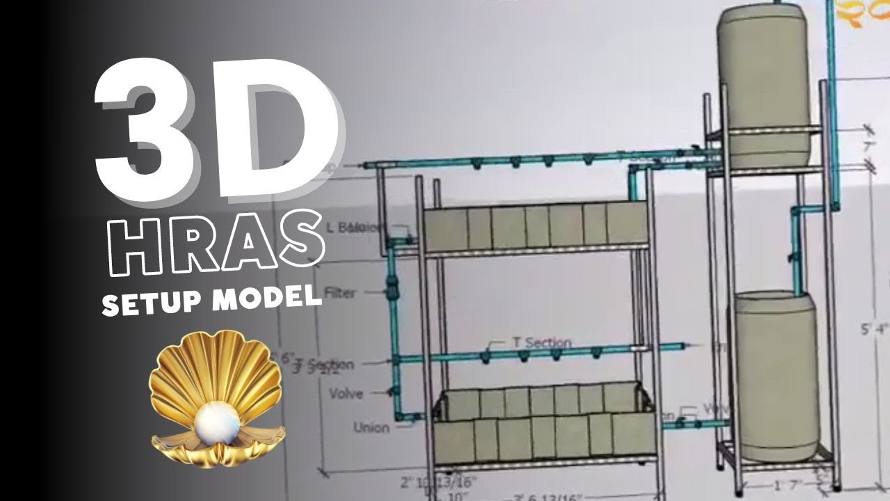 A Closer Look at Our 3D HRAS Model | Innovative Indoor Pearl Farming ...