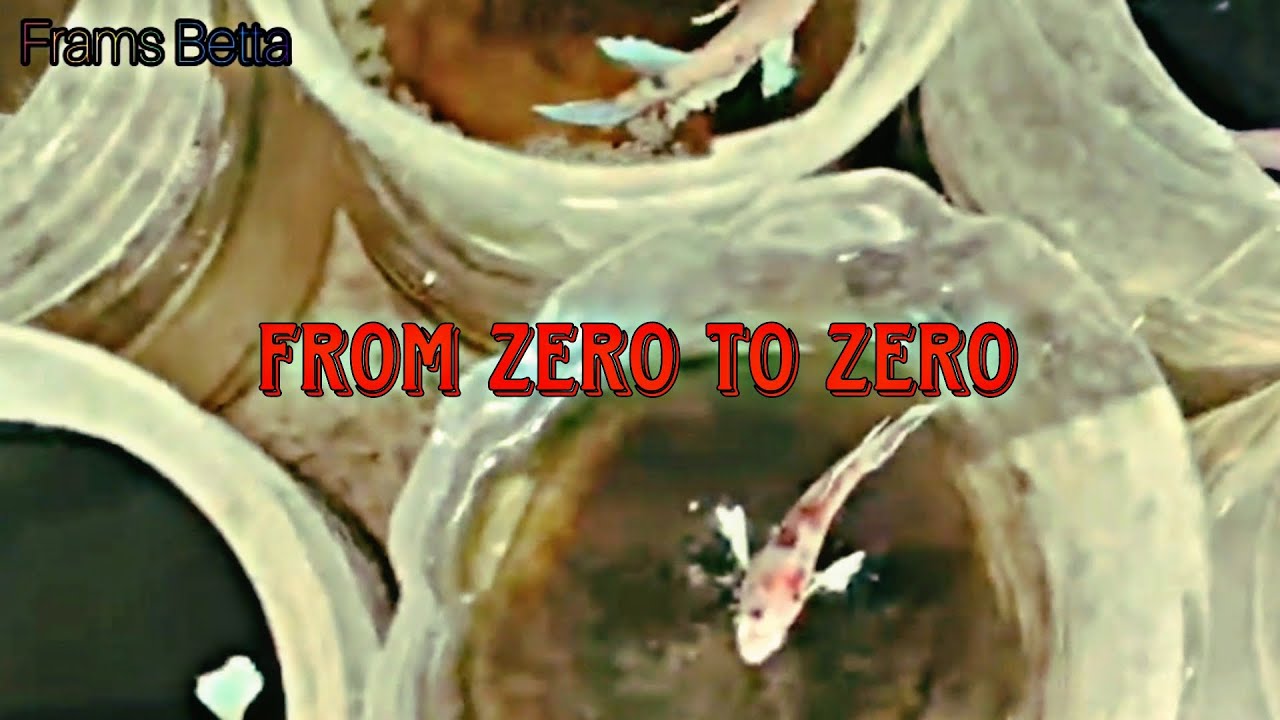CANDY BETTA FROM ZERO TO HERO - YouTube