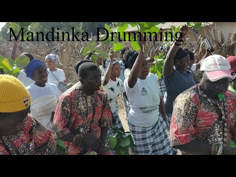 Mandinka traditional Drumming / 🇬🇲 gambia tv @gambiatvofficial West ...