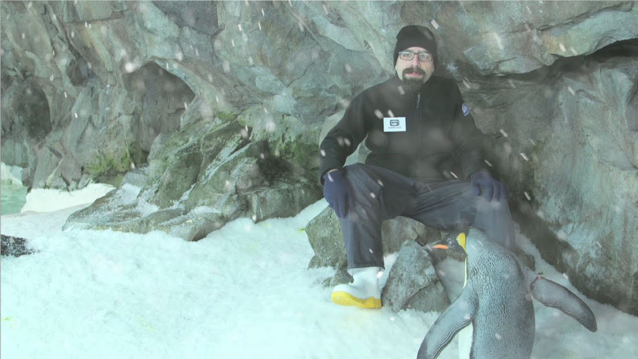 Ice Age Adventures - Making of - YouTube