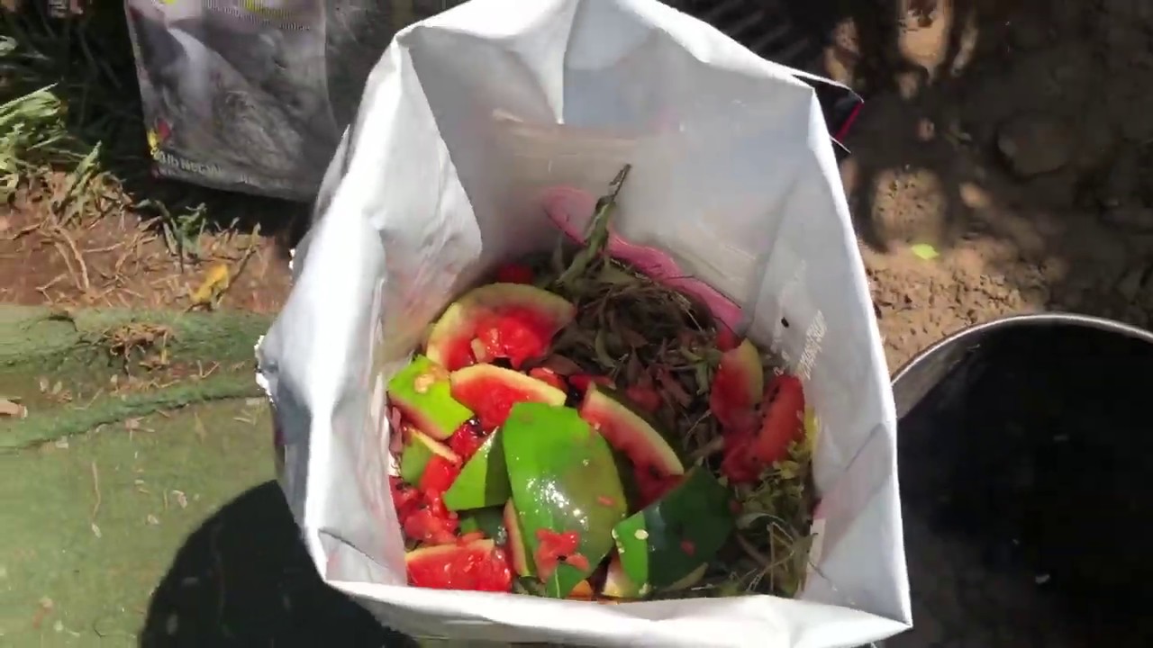 Compost casero en bolsas parte 1 - YouTube