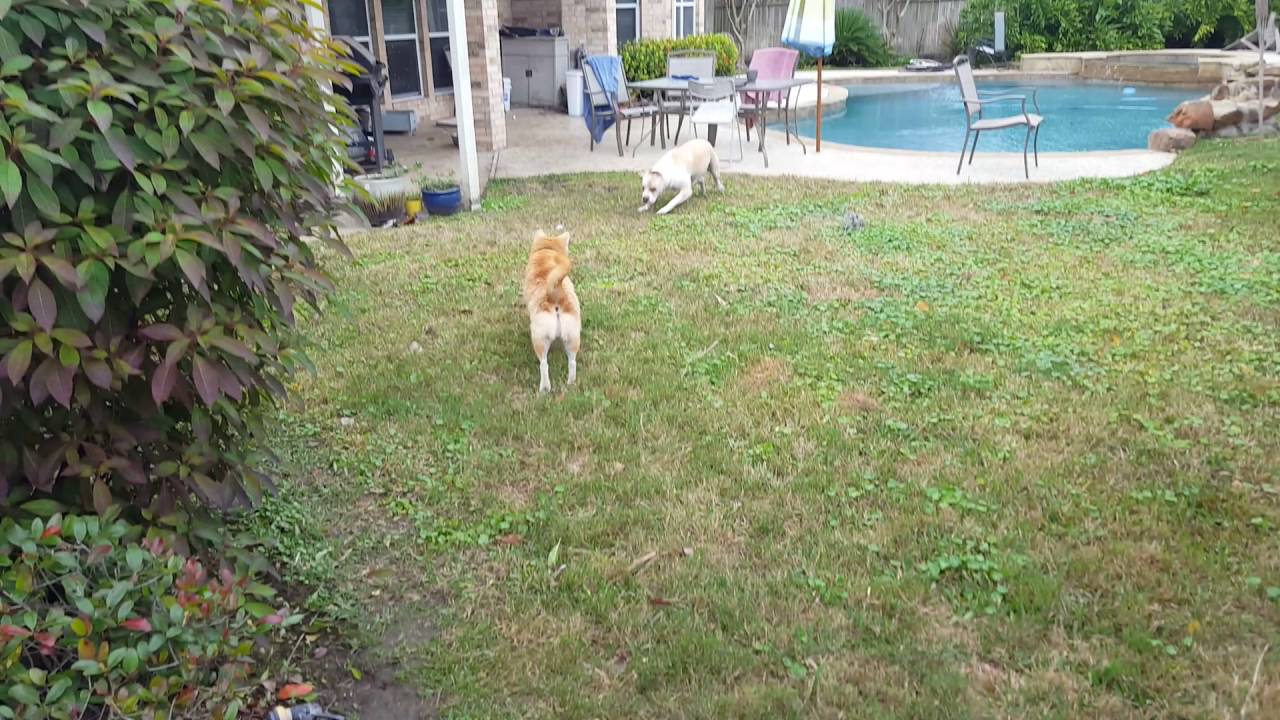 Misa and Macy play 2015 - YouTube