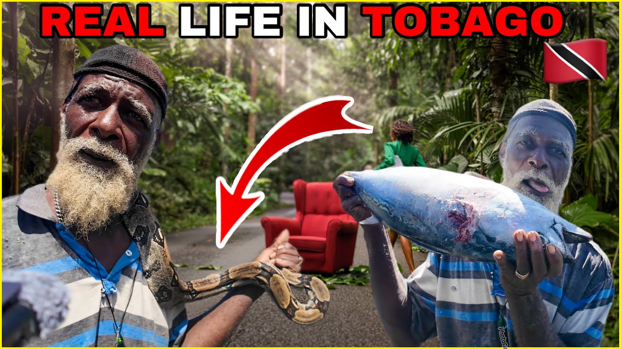UNBELIEVABLE !! Village Life In Tobago 🇹🇹 # Trinidad and Tobago - YouTube