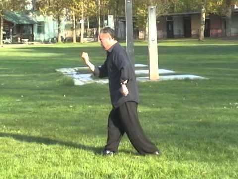 Han Kui Yuan, 48 form - YouTube